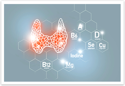 Thyroid Alive - Natural Vitamins and Herbs That Support Thyroid Health